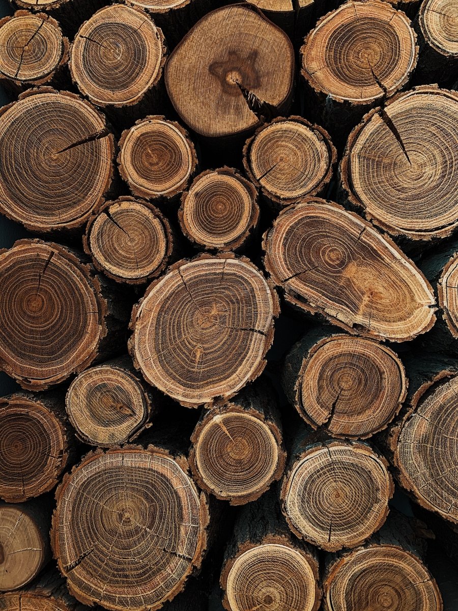 Choosing Excellence: A Guide to Selecting the Best Wood for Your Woode